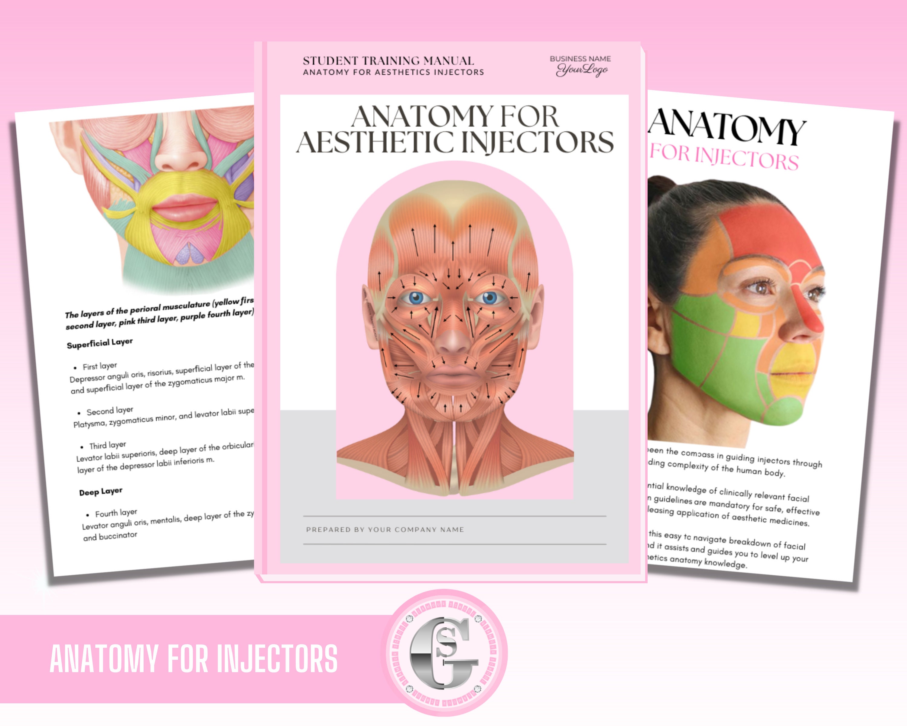 Facial Anatomy for Aesthetics Injectors Training Manual, PDF Ebook ...