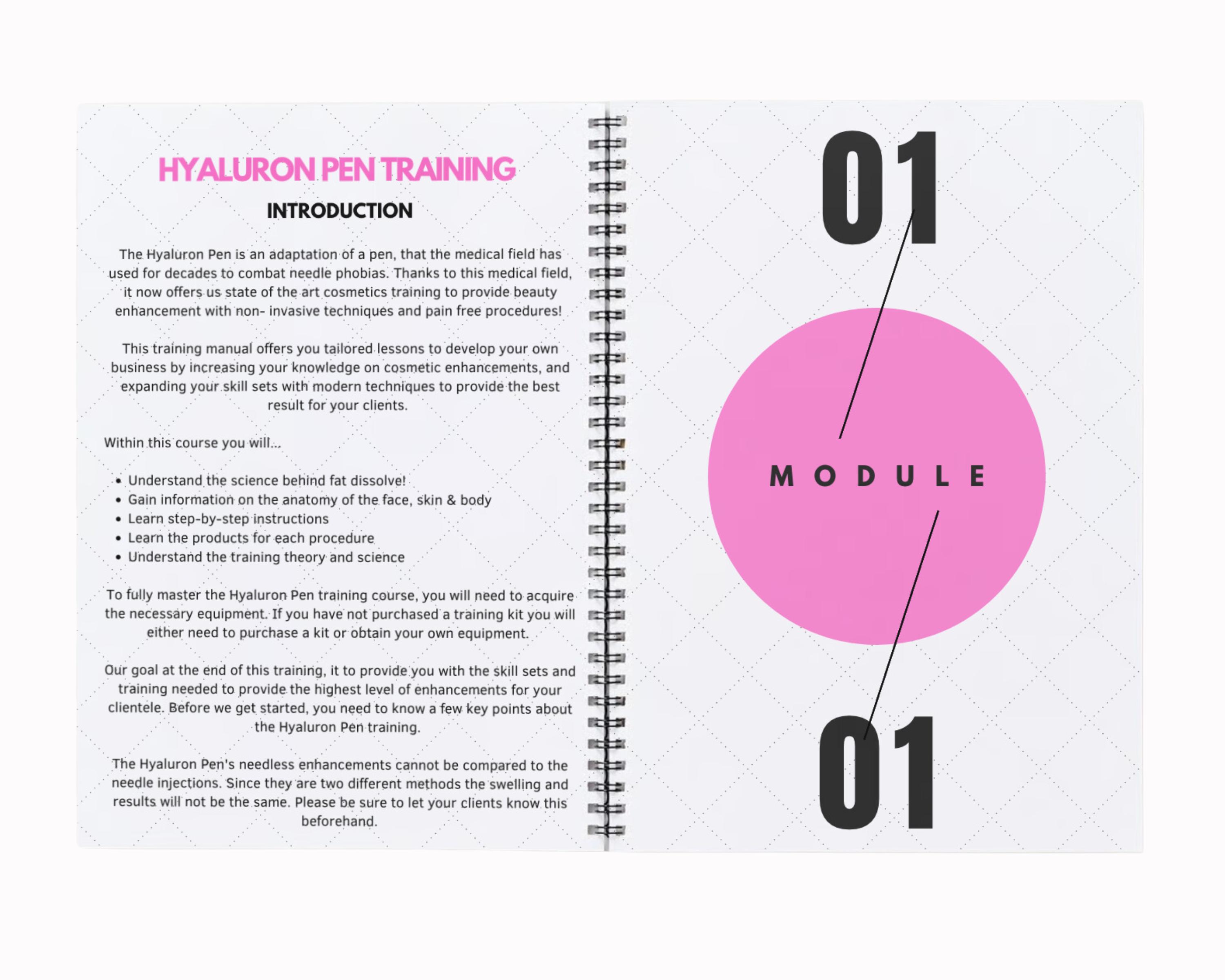 Hyaluron Pen Fat Dissolve Training Manual: Mesotherapy Guide (editable ...