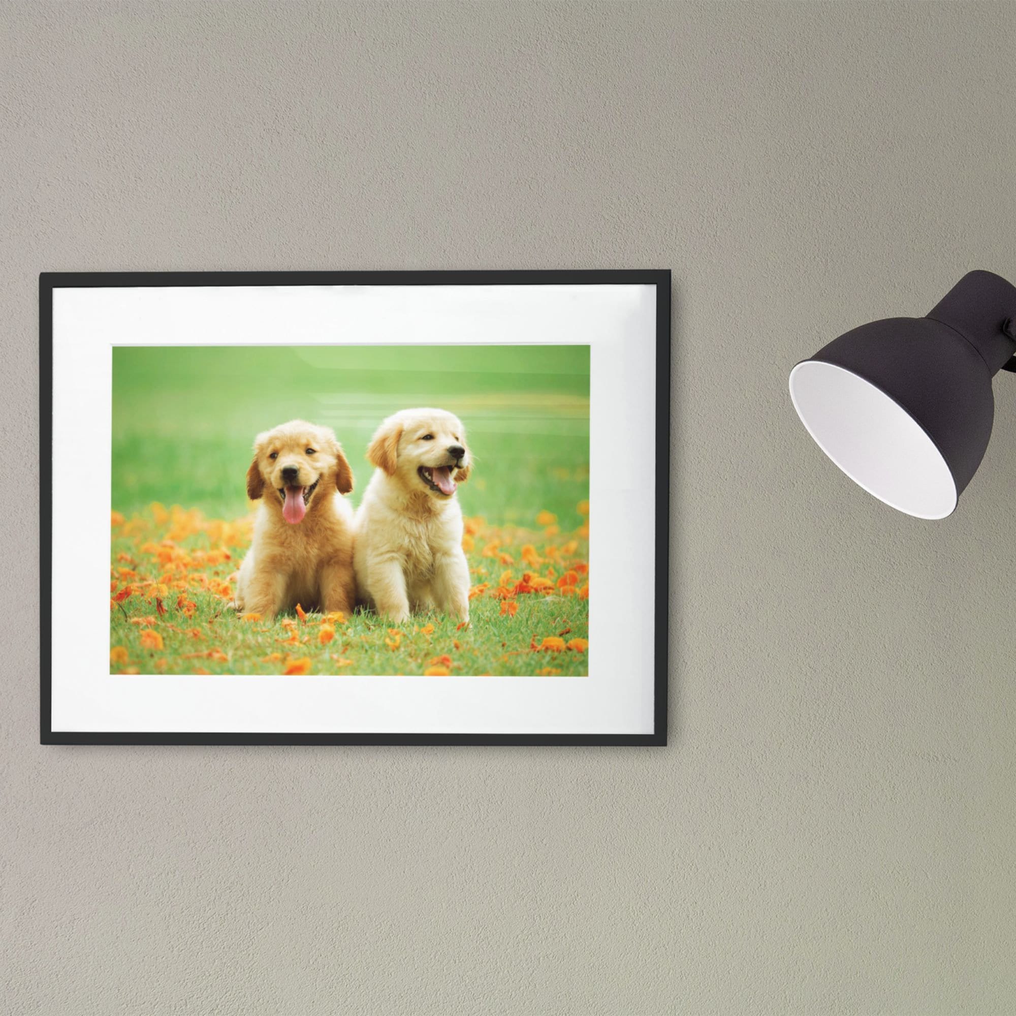 Printable Dogs, Animal Prints, Puppy Animal, Printable Wall Art, Animal ...