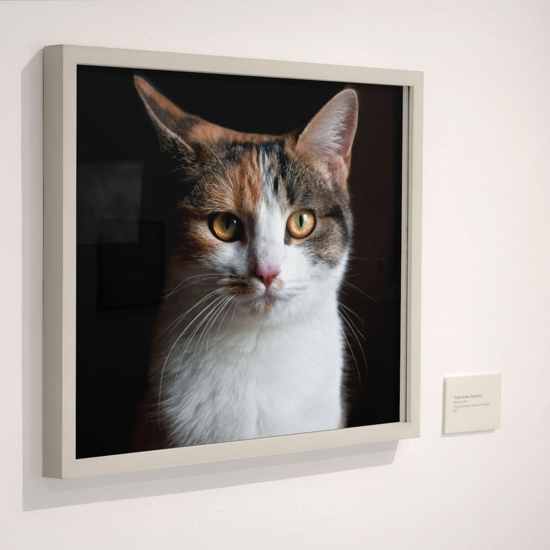 Printable Cat, Animal Prints, Feline Animal, Printable Wall Art, Animal ...