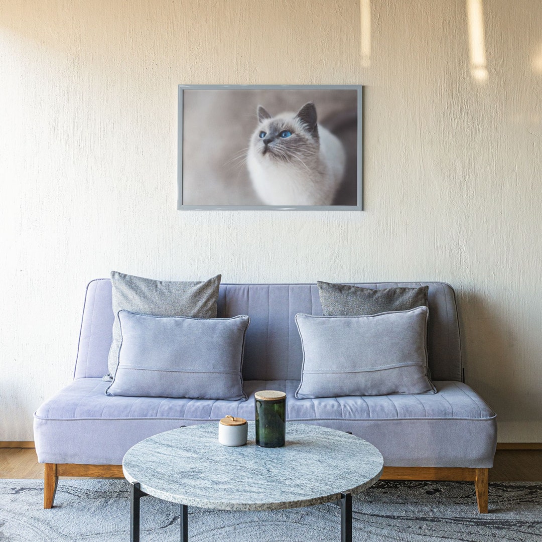 Persian Cat, Animal Prints, Feline Animal, Printable Wall Art, Animal ...