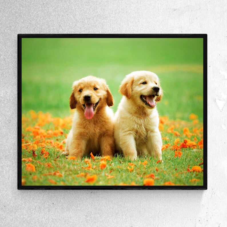 Printable Dogs, Animal Prints, Puppy Animal, Printable Wall Art, Animal ...