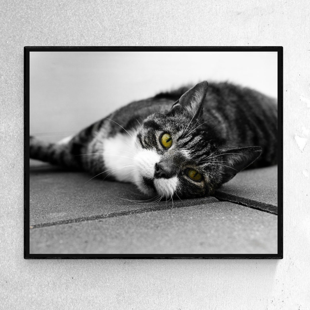 Cat Printable Art, Animal Prints, Feline Animal, Printable Wall Art ...