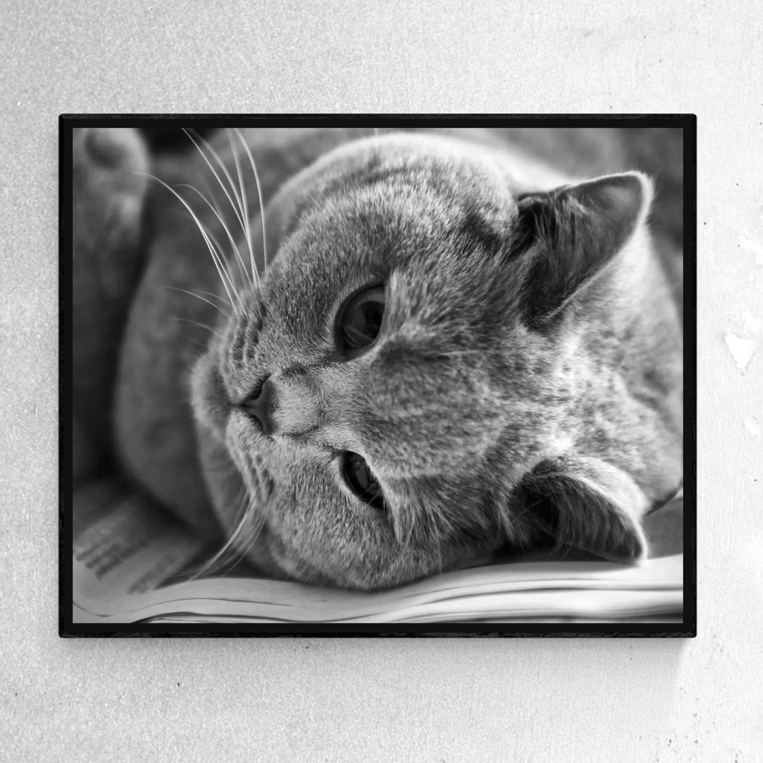Printable Cat, Animal Prints, Feline Animal, Printable Wall Art, Animal ...