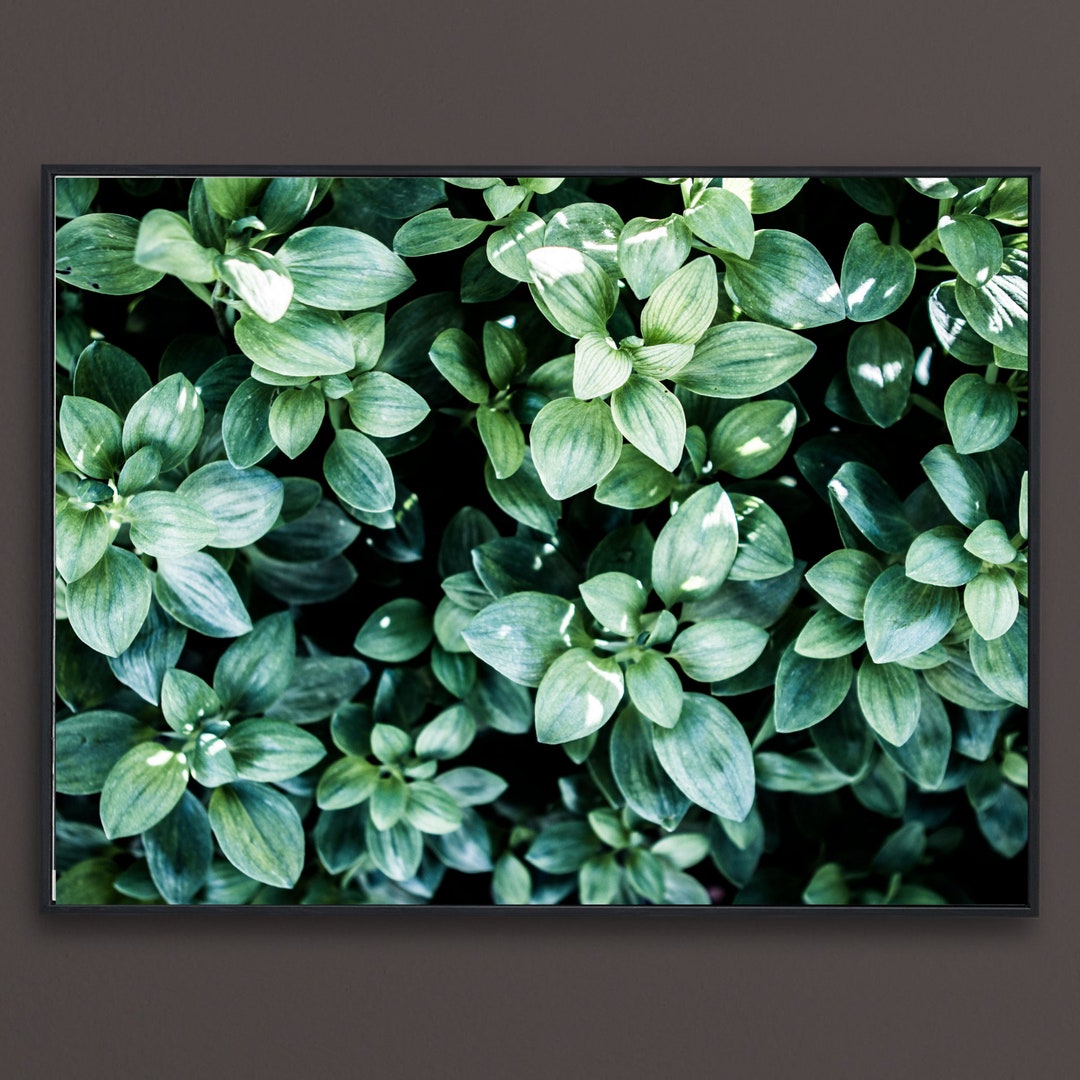 Green Leaf Print, Wall Decor, Printable Wall Art, Botanical Print ...