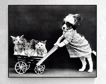 Printable Dogs, Animal Prints, Puppy Animal, Printable Wall Art, Animal ...