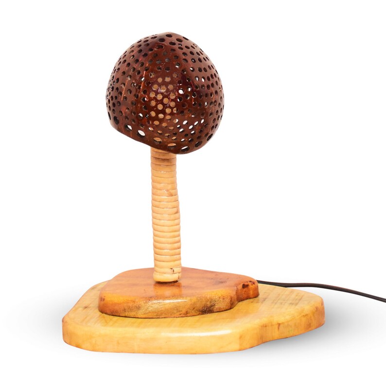 N and H Handcrafted Coconut Shell Mushroom Lampshade Table Lamp for ...