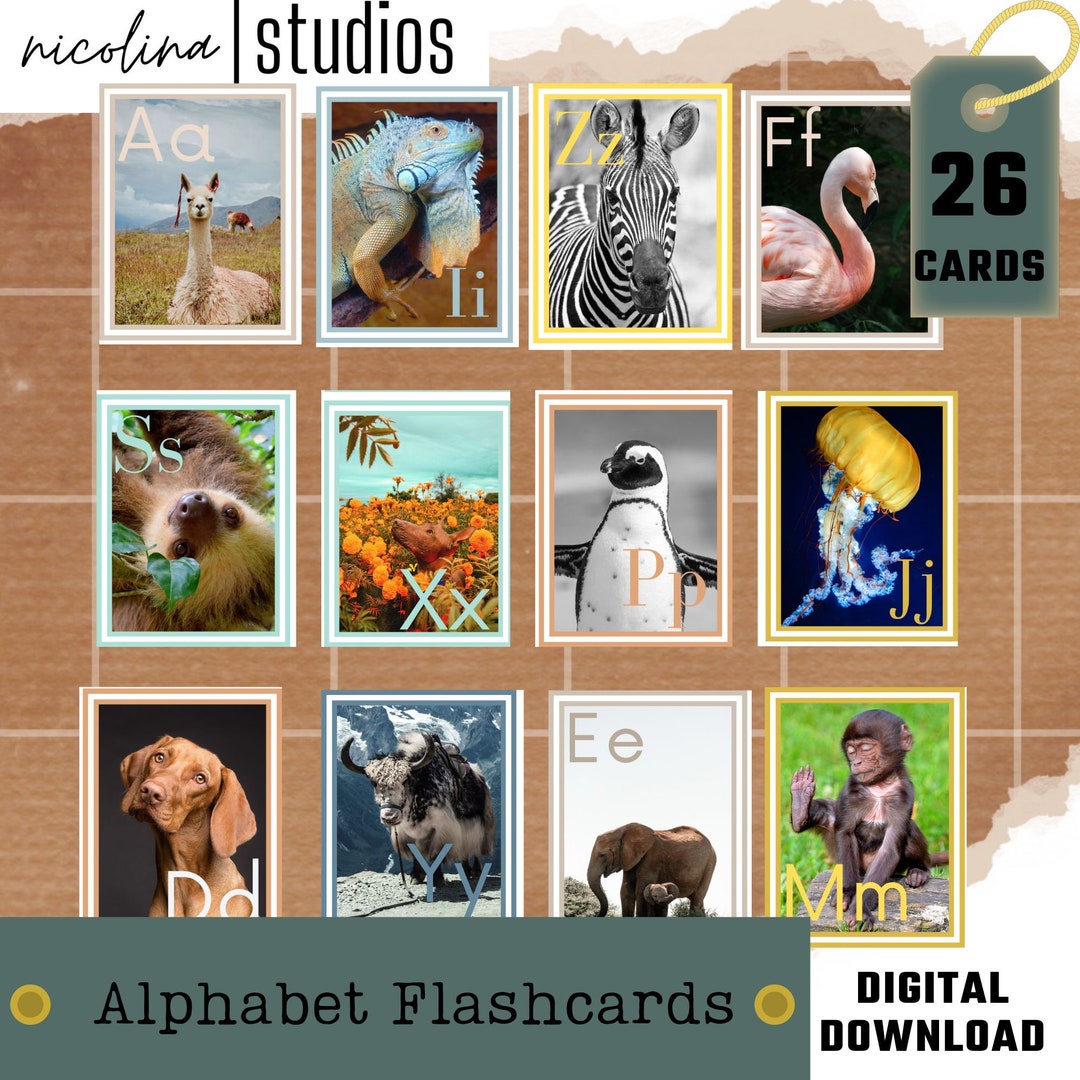 Alphabet Animal Flashcards - Etsy