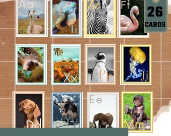 Alphabet Animal Flashcards Homeschool Baby Toddler Preschool - Etsy