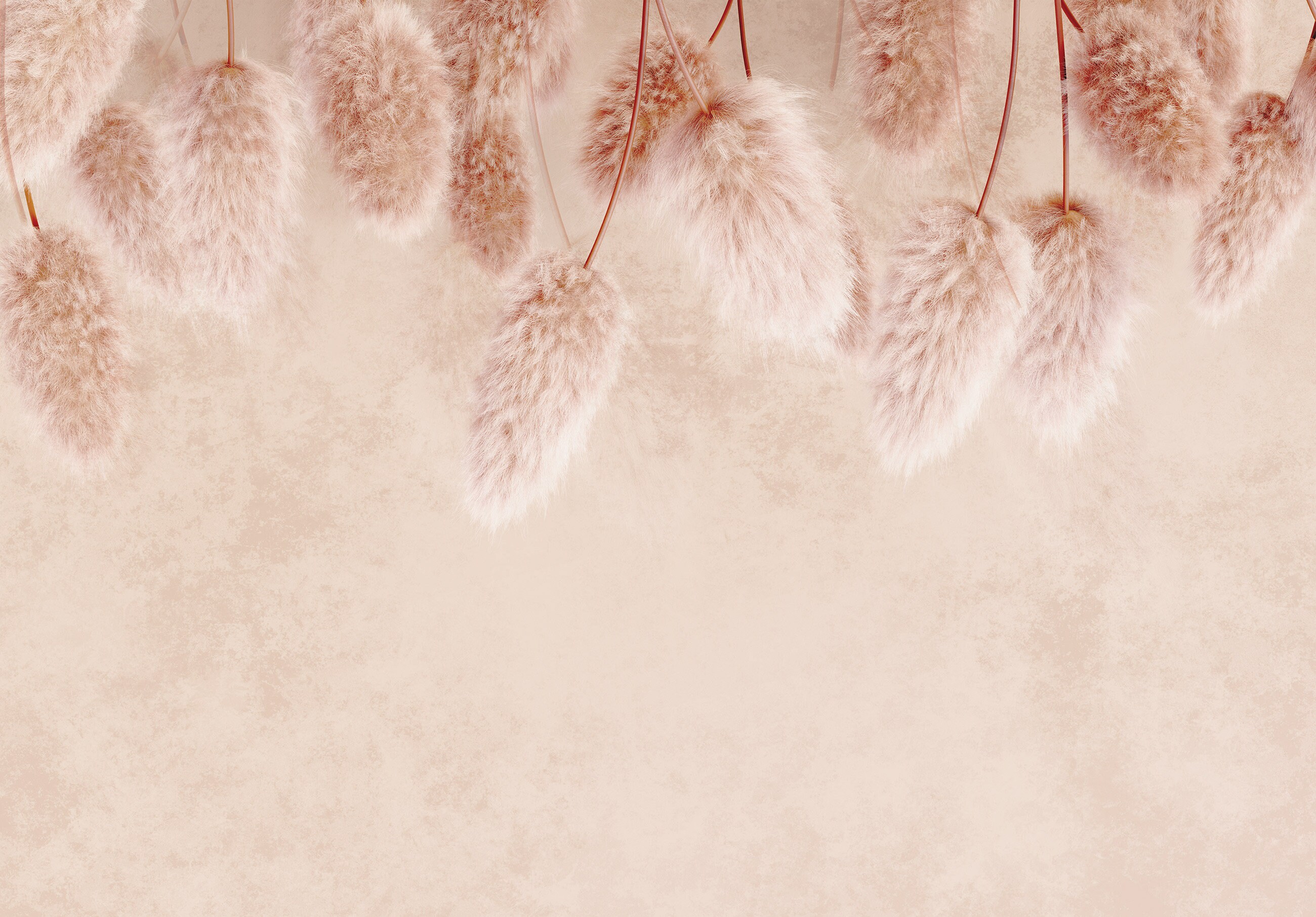 Photo Wallpaper Pampas Grass Nature / BOHO Design / Scandinavian Style ...