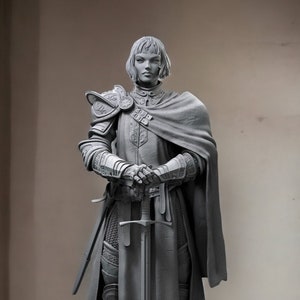 Jeanne D'arc 3D Printed Figure, Fan Art Model Kit - Etsy