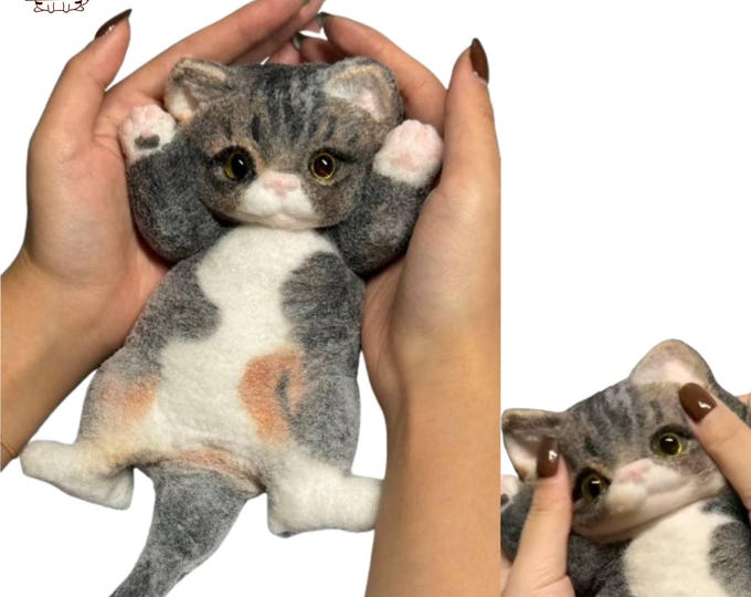 Custom Realistic Cat Squishy | Taba Squishy | Stress Reliver | Gift for ...