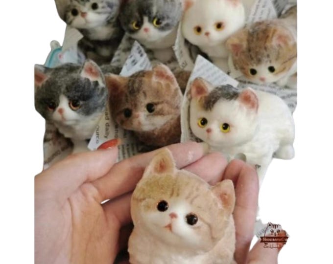 Custom Realistic Cat Squishy | Taba Squishy | Stress Reliver | Gift for ...