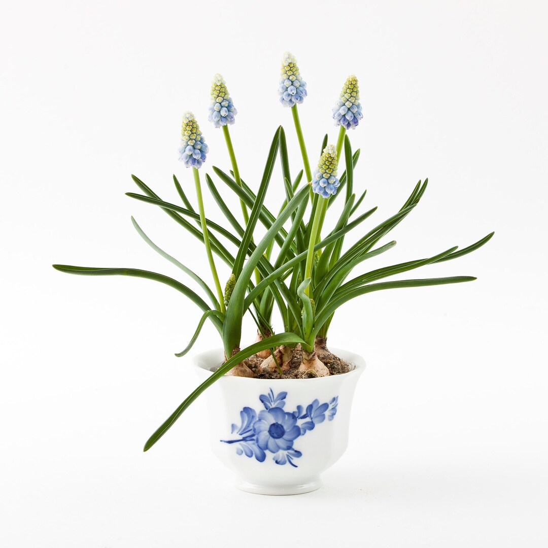 Royal Copenhagen Blå Blomst Blue Flower Angular Multi Pot – Planter ...
