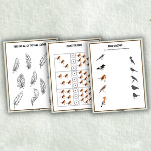 Birds Activity Bundle, Birds Printable Collection, Preschool Animal ...