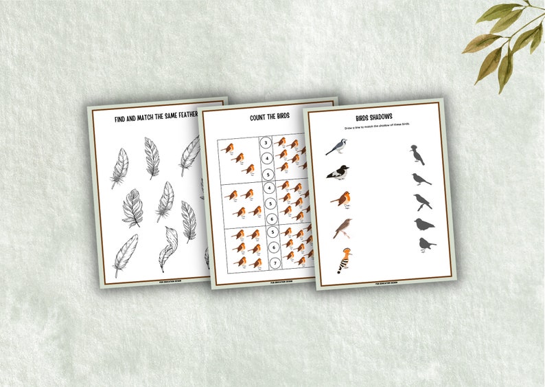 Birds Activity Bundle, Birds Printable Collection, Preschool Animal ...
