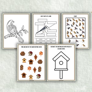 Birds Activity Bundle, Birds Printable Collection, Preschool Animal ...