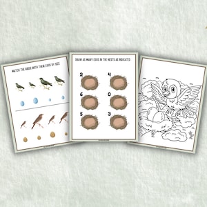 Birds Activity Bundle, Birds Printable Collection, Preschool Animal ...