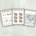 Birds Activity Bundle, Birds Printable Collection, Preschool Animal ...