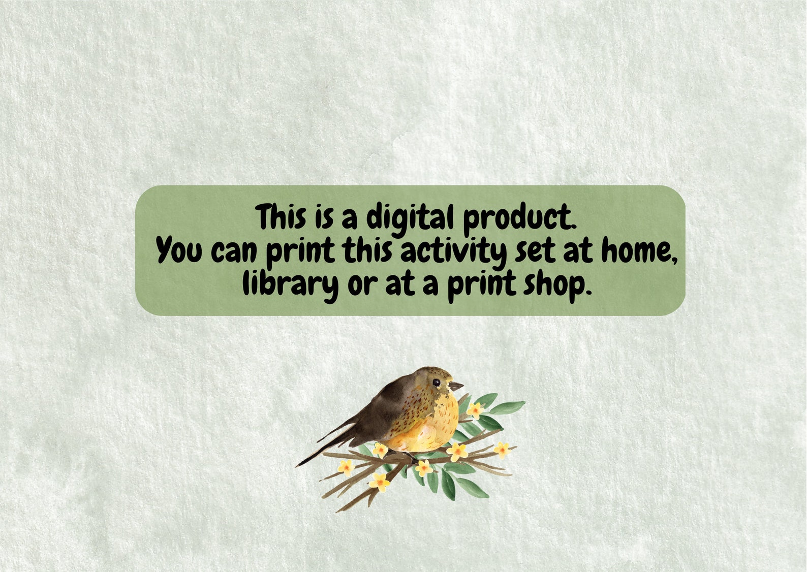 Birds Activity Bundle, Birds Printable Collection, Preschool Animal ...