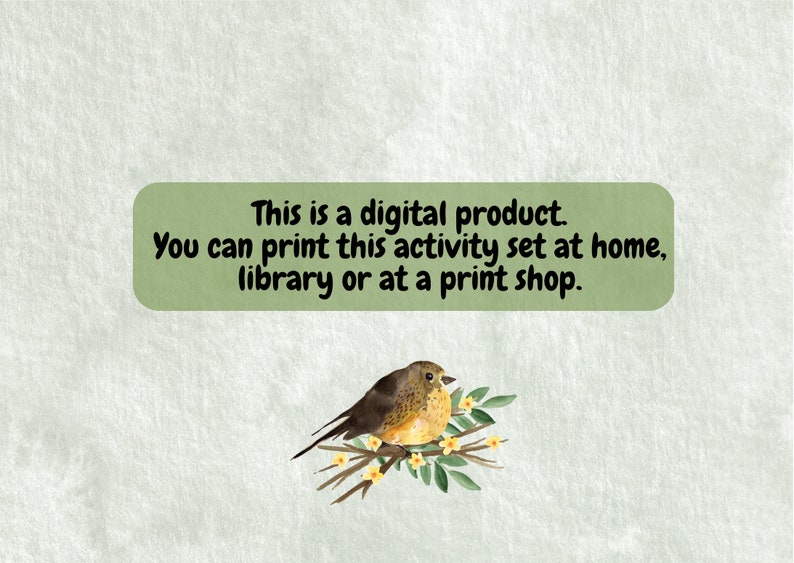 Birds Activity Bundle, Birds Printable Collection, Preschool Animal ...