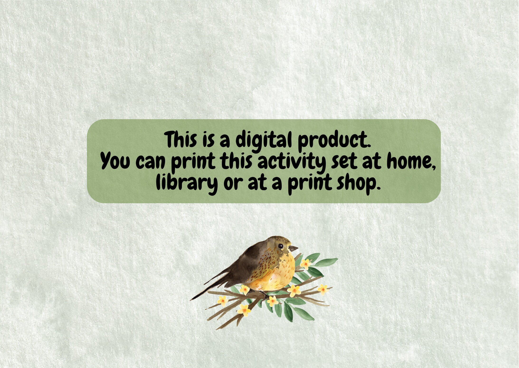 Birds Activity Bundle, Birds Printable Collection, Preschool Animal ...