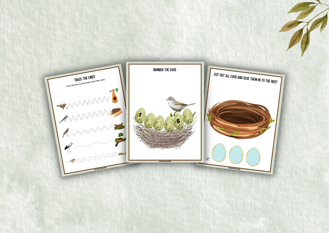 Birds Activity Bundle, Birds Printable Collection, Preschool Animal ...