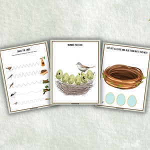 Birds Activity Bundle, Birds Printable Collection, Preschool Animal ...