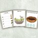 Birds Activity Bundle, Birds Printable Collection, Preschool Animal ...