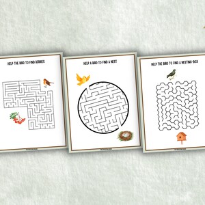 Birds Activity Bundle, Birds Printable Collection, Preschool Animal ...