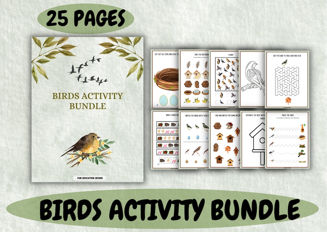 Birds Activity Bundle, Birds Printable Collection, Preschool Animal ...