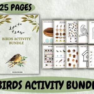 Birds Activity Bundle, Birds Printable Collection, Preschool Animal ...