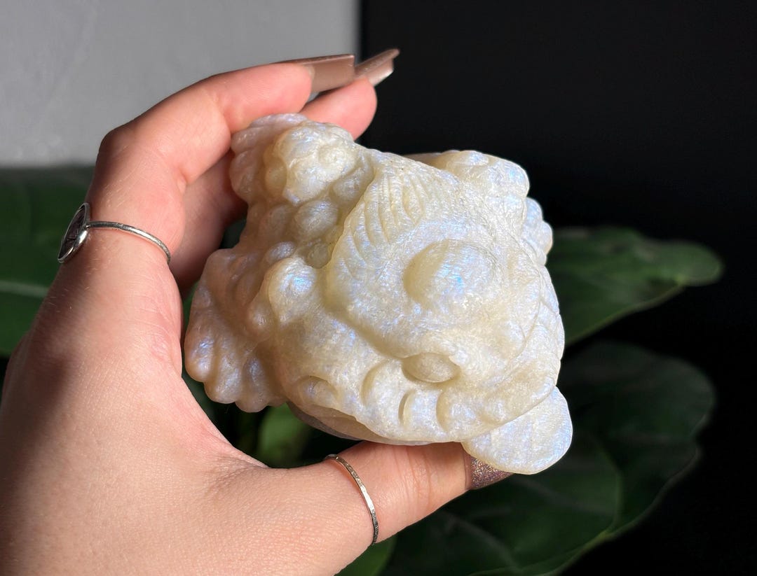 Moonstone Crystal Money Toad Carving Flashy Moonstone Lucky Frog Carved ...