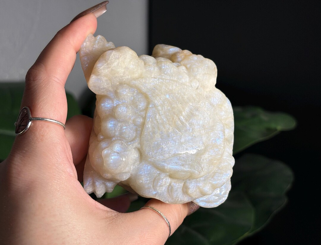 Moonstone Money Toad Carving Flashy Moonstone Lucky Frog Carved Chinese ...
