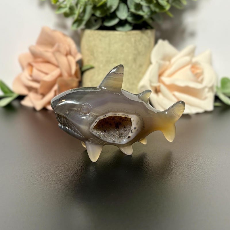 Shark Gift - 60+ Gift Ideas for 2024