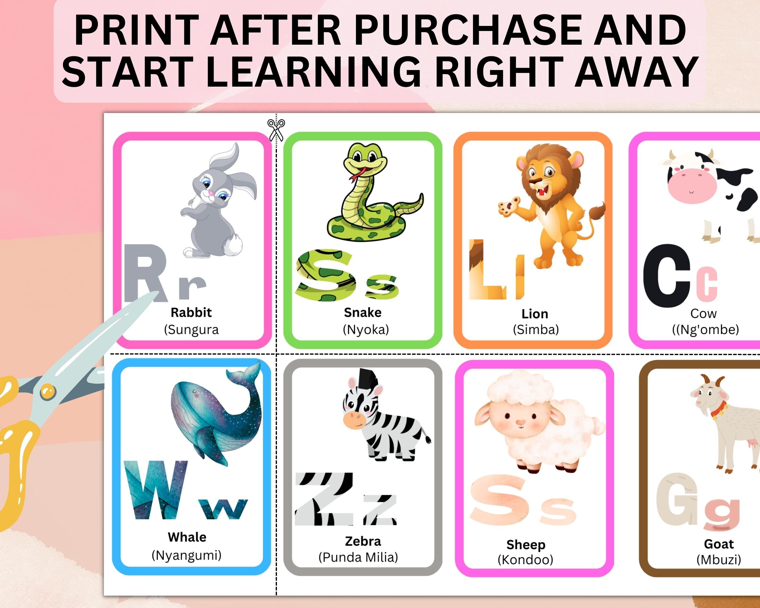 Children / Adults Animal Learning Flash Cards English / Swahili ...