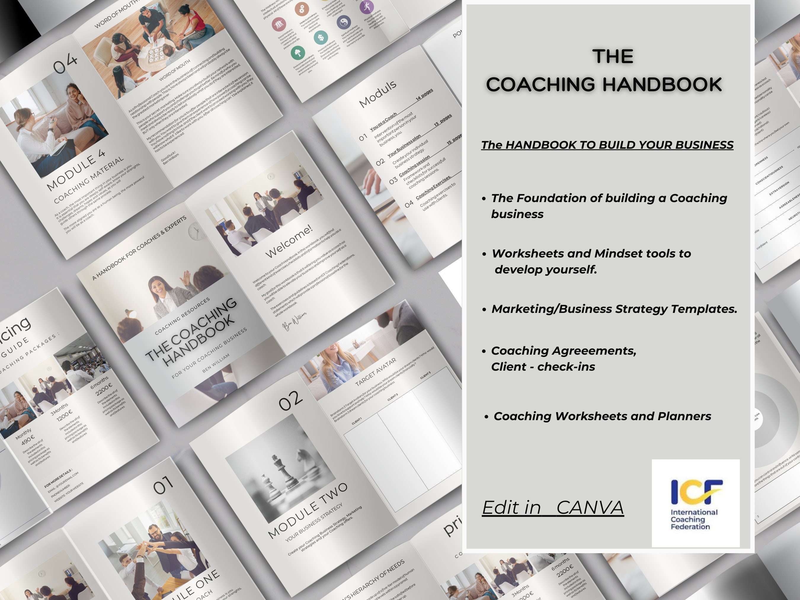 Build Your Coaching Business Workbook, How to Build a Coaching Business ...