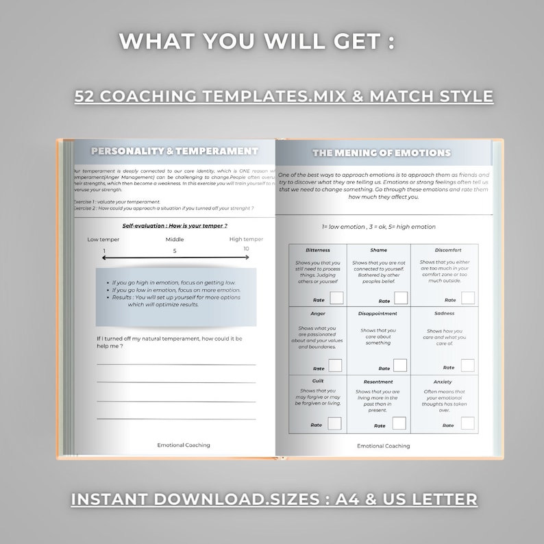 Feeling Wheel Canva Template, Premade Coaching Emotions Worksheet ...