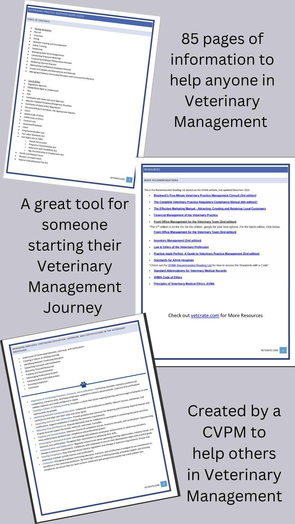 Veterinary Practice Manager Quick Guide, CVPM Notes - Etsy
