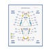 Veterinary Feline Dental Chart Poster - Simplify Your Dental Charting ...