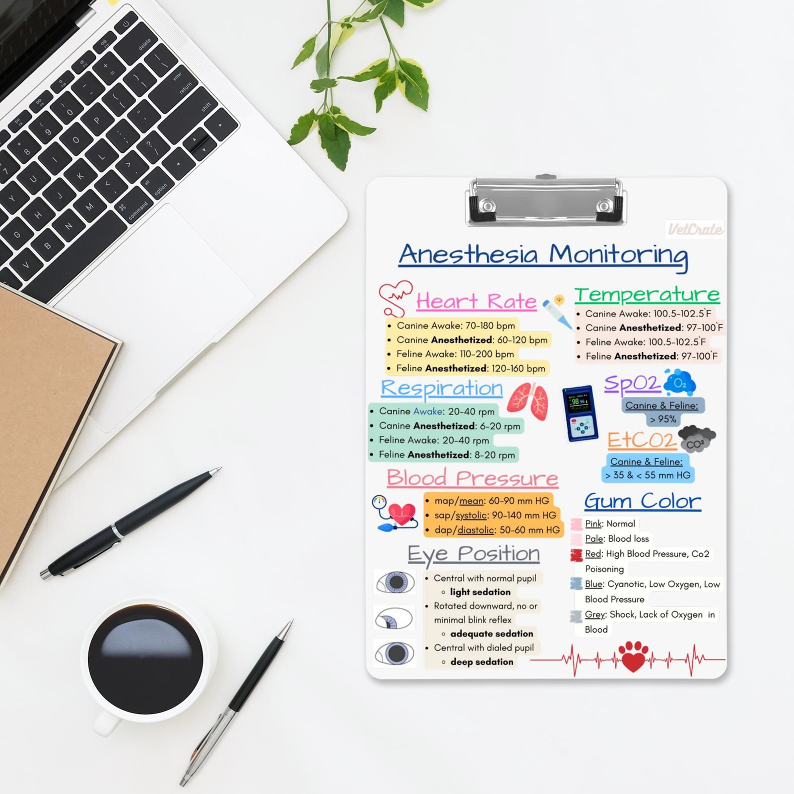 Veterinary Anesthesia Monitoring Clipboard + Emergency Drug Chart ...
