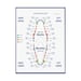 Veterinary Canine Dental Chart Poster - Simplify Your Dental Charting ...