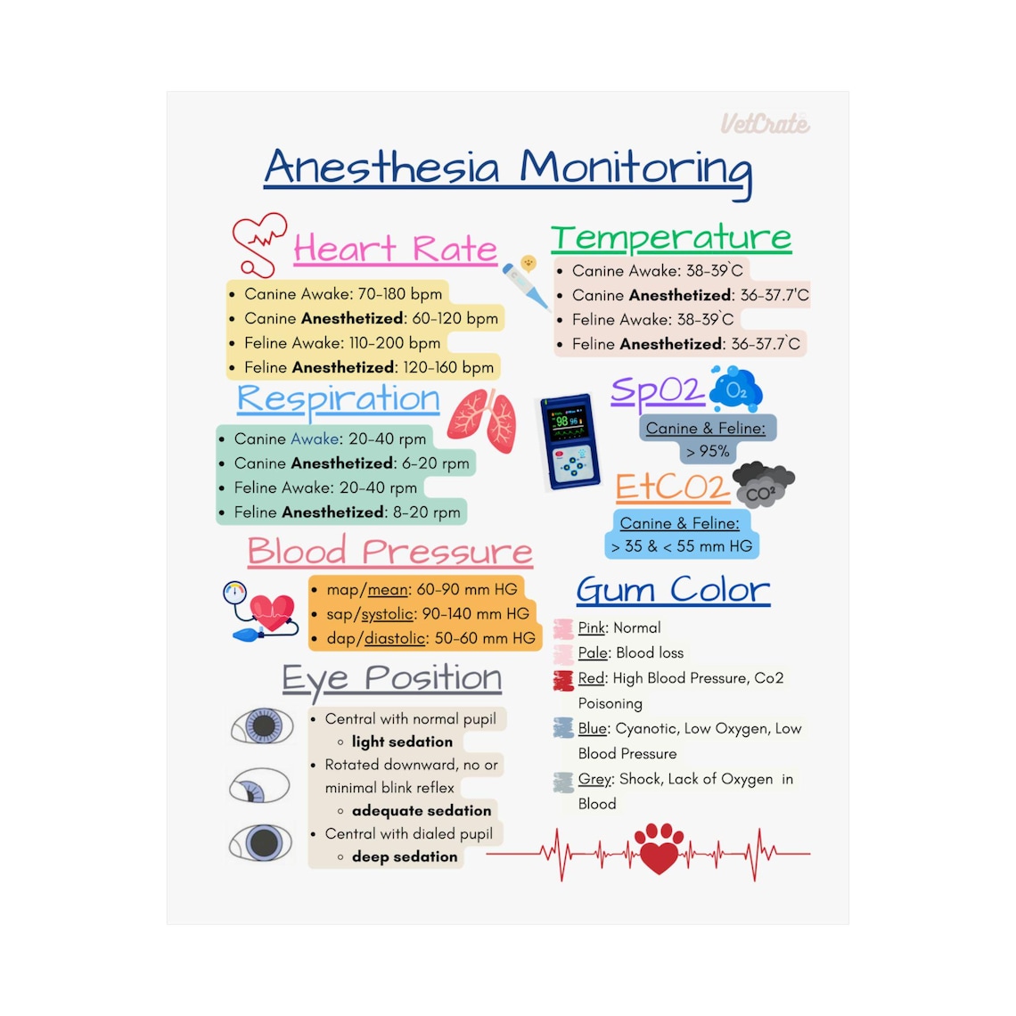 Veterinary Anesthesia Monitoring Poster | Vet Tech Notes - Etsy