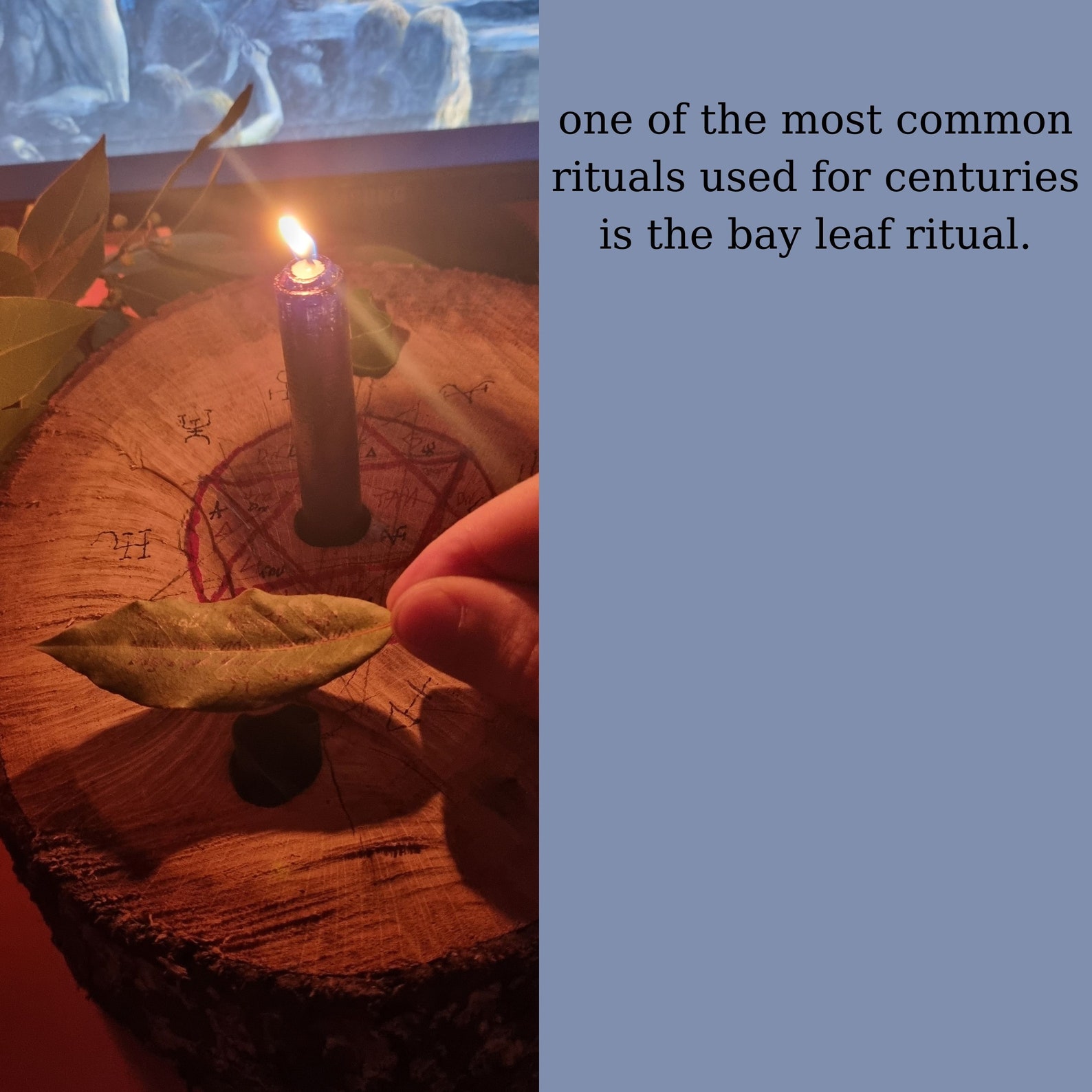 Bay Leaf Ritual , Same Day , Specialist Psychic , for Love , for Money ...