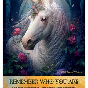 Enchanted Forest Oracle: A 58-card Deck & Guidebook by Britta Baumann ...