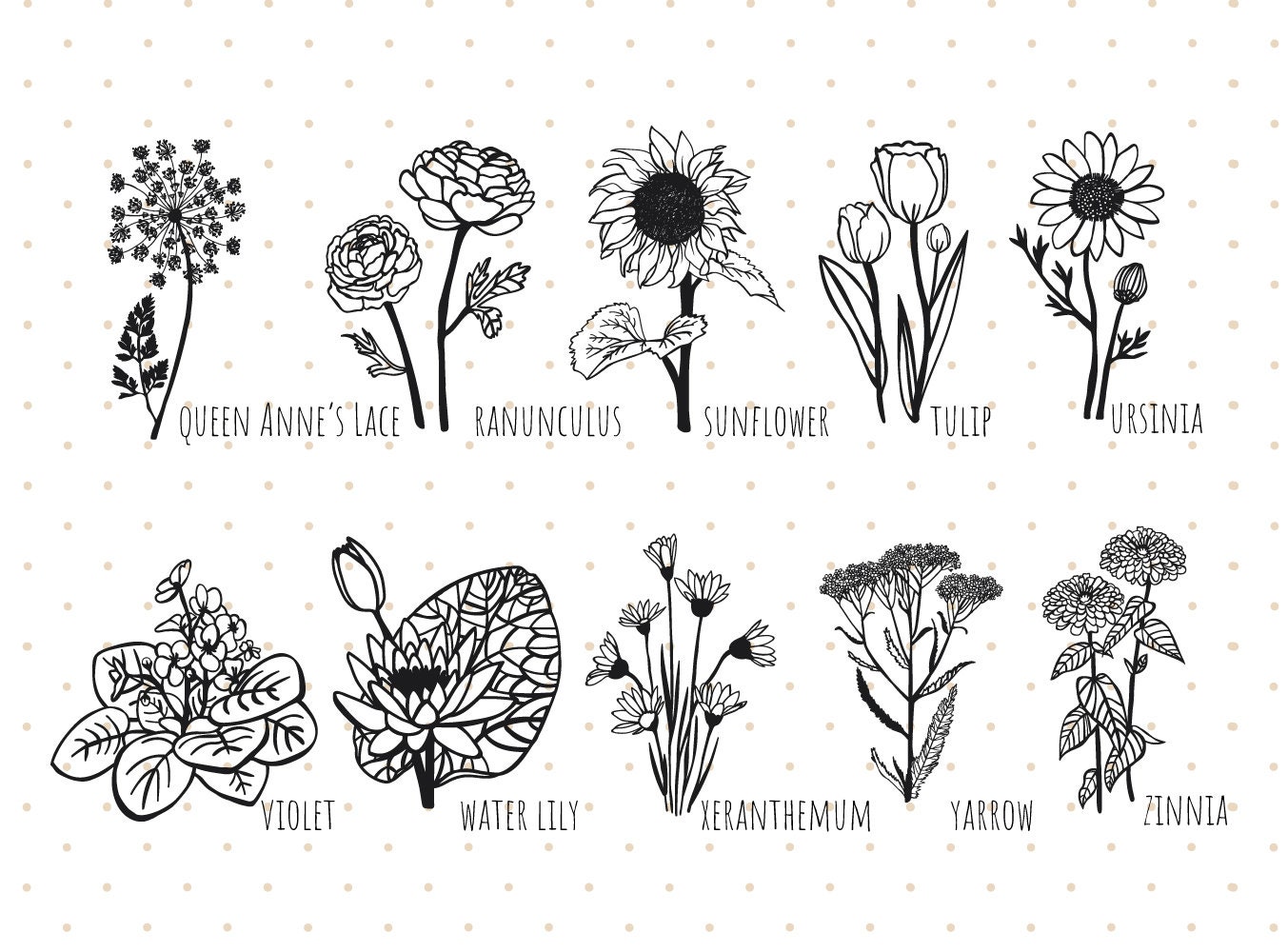 Flowers Bundle Svg /floral Svg Png / Flower Aplhabet Svg / Flower ...