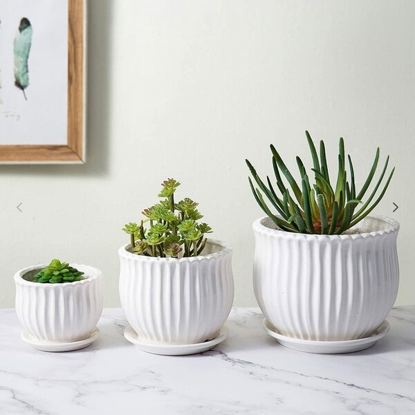 Ceramic Pots - Etsy