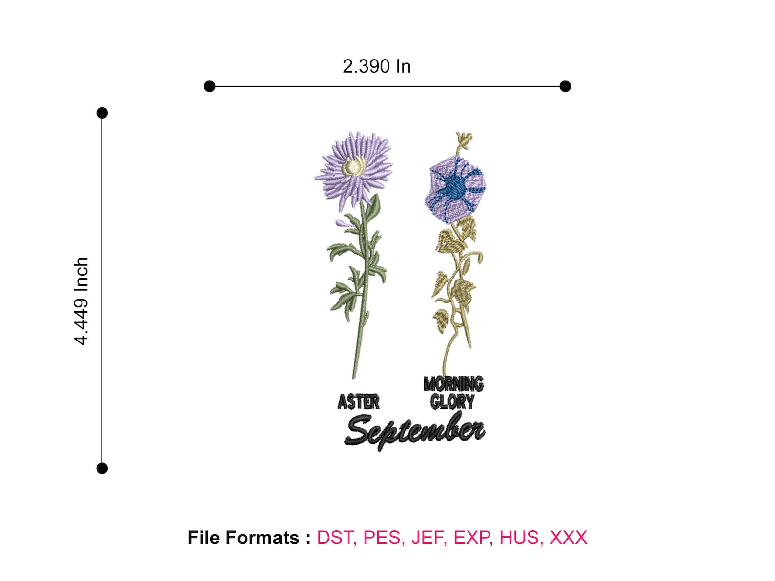 Morning Glory & Aster Embroidery Pattern, September Birth Flower Machine Embroidery Design ...