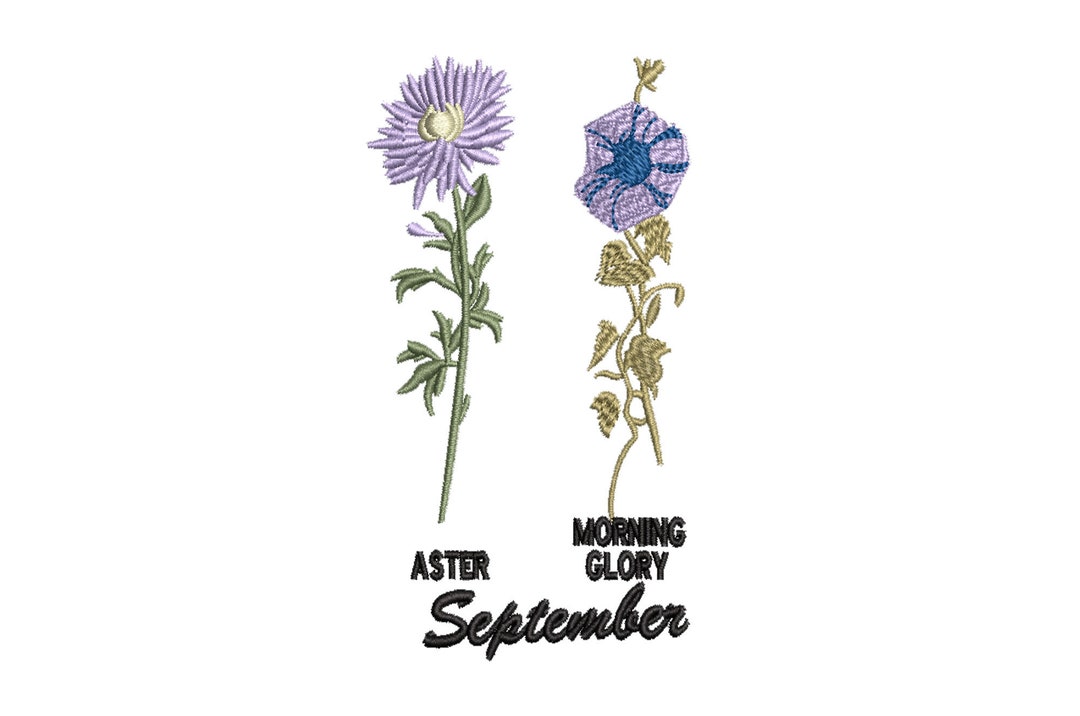 Morning Glory & Aster Embroidery Pattern, September Birth Flower Machine Embroidery Designs ...