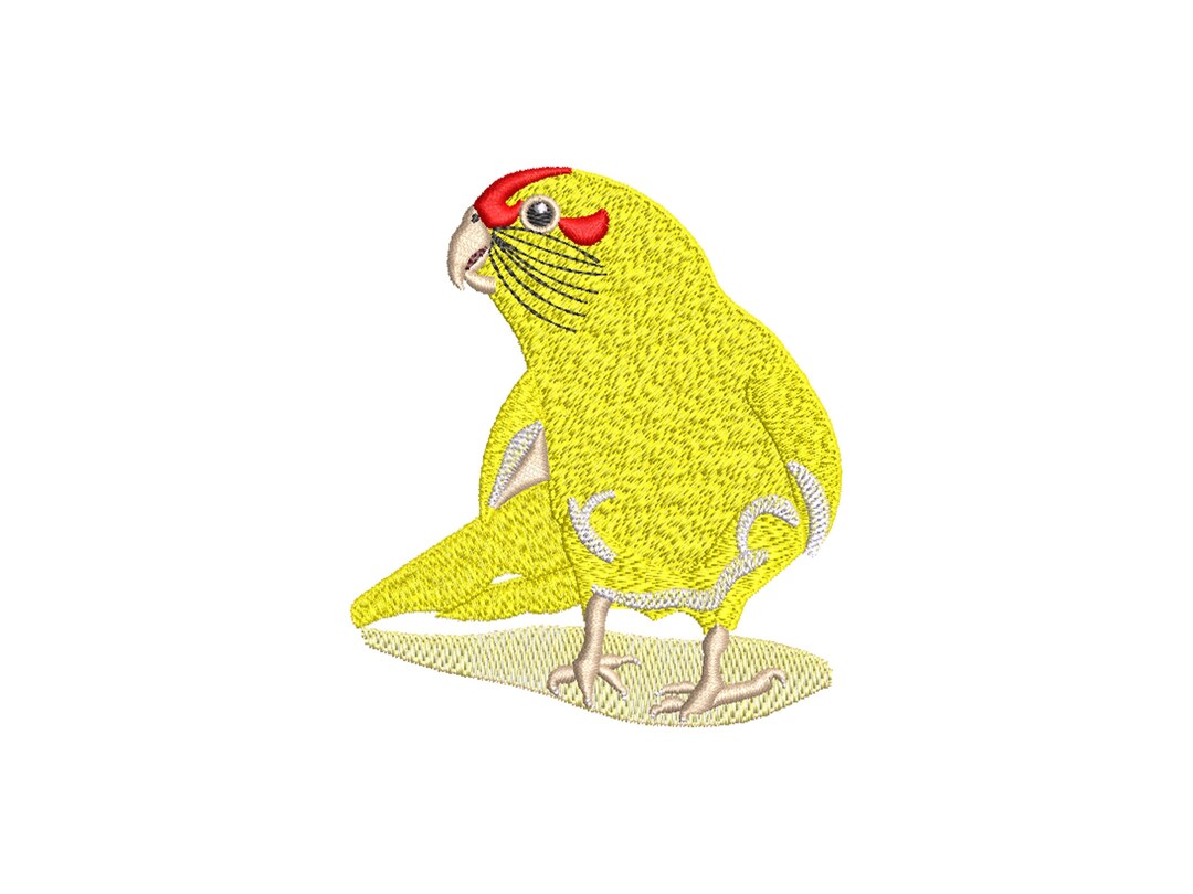 Yellow Bird Embroidery Pattern, Parrot Machine Embroidery Designs, Song ...